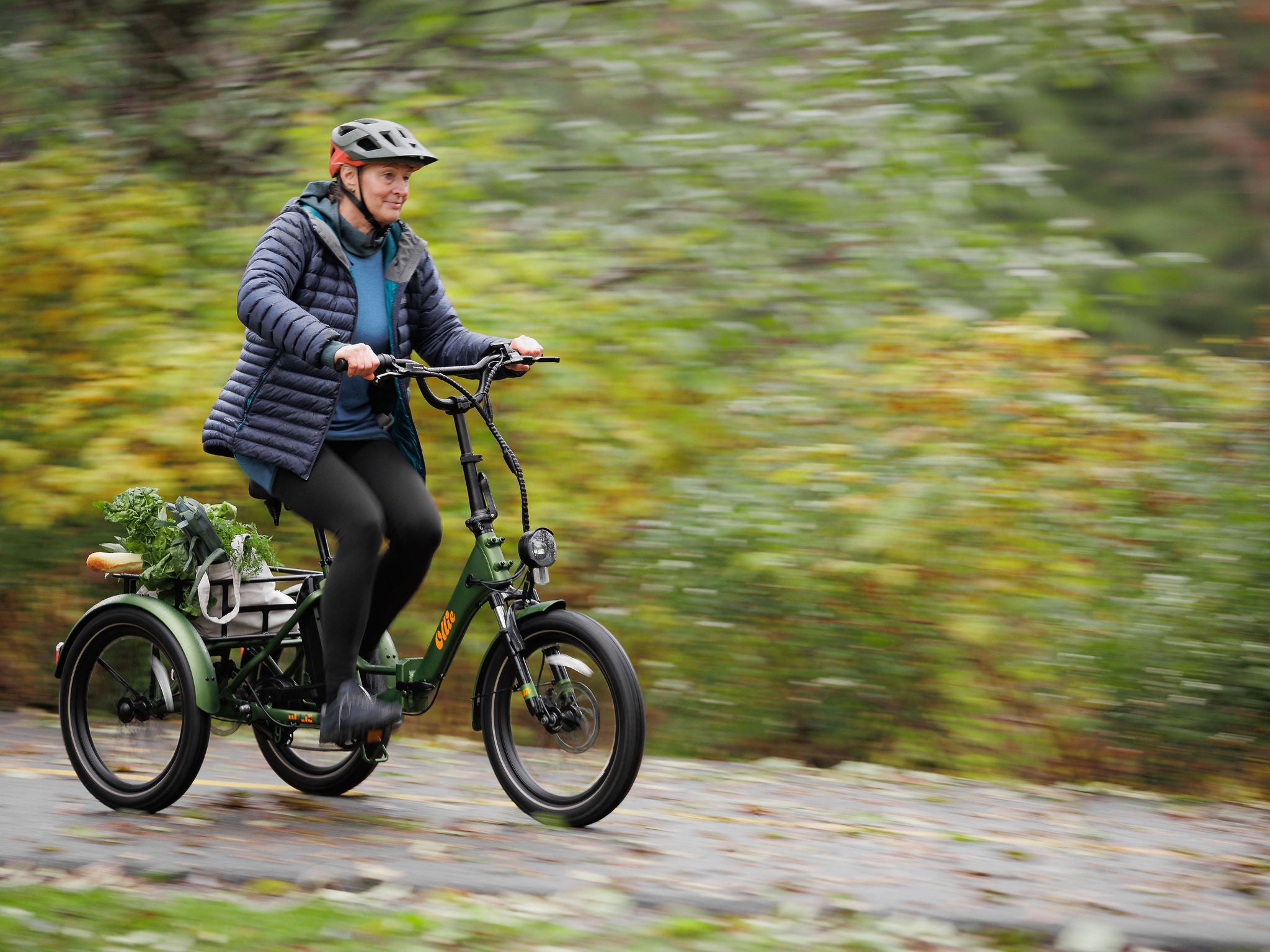 Ollie Leo SE E-Trike | Eco-Conscious Commuting Power
